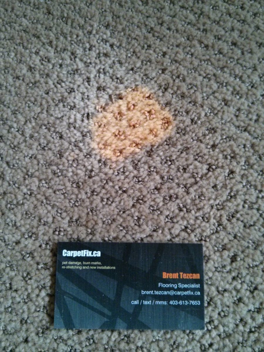 What to do after spilling bleach on the carpet?