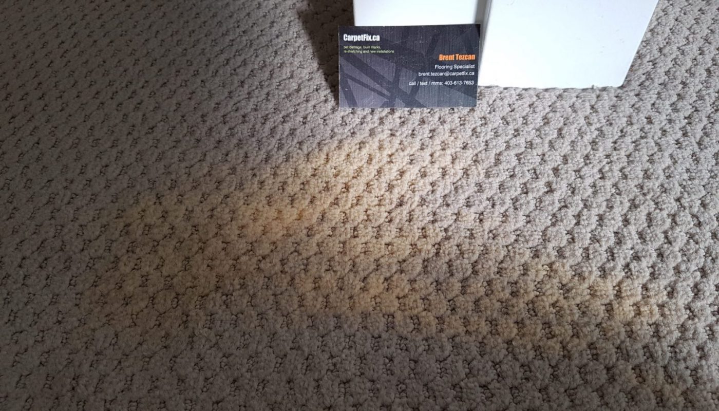 Several Bleach Mark Removal | Calgary Carpet Repair, Stretching Services