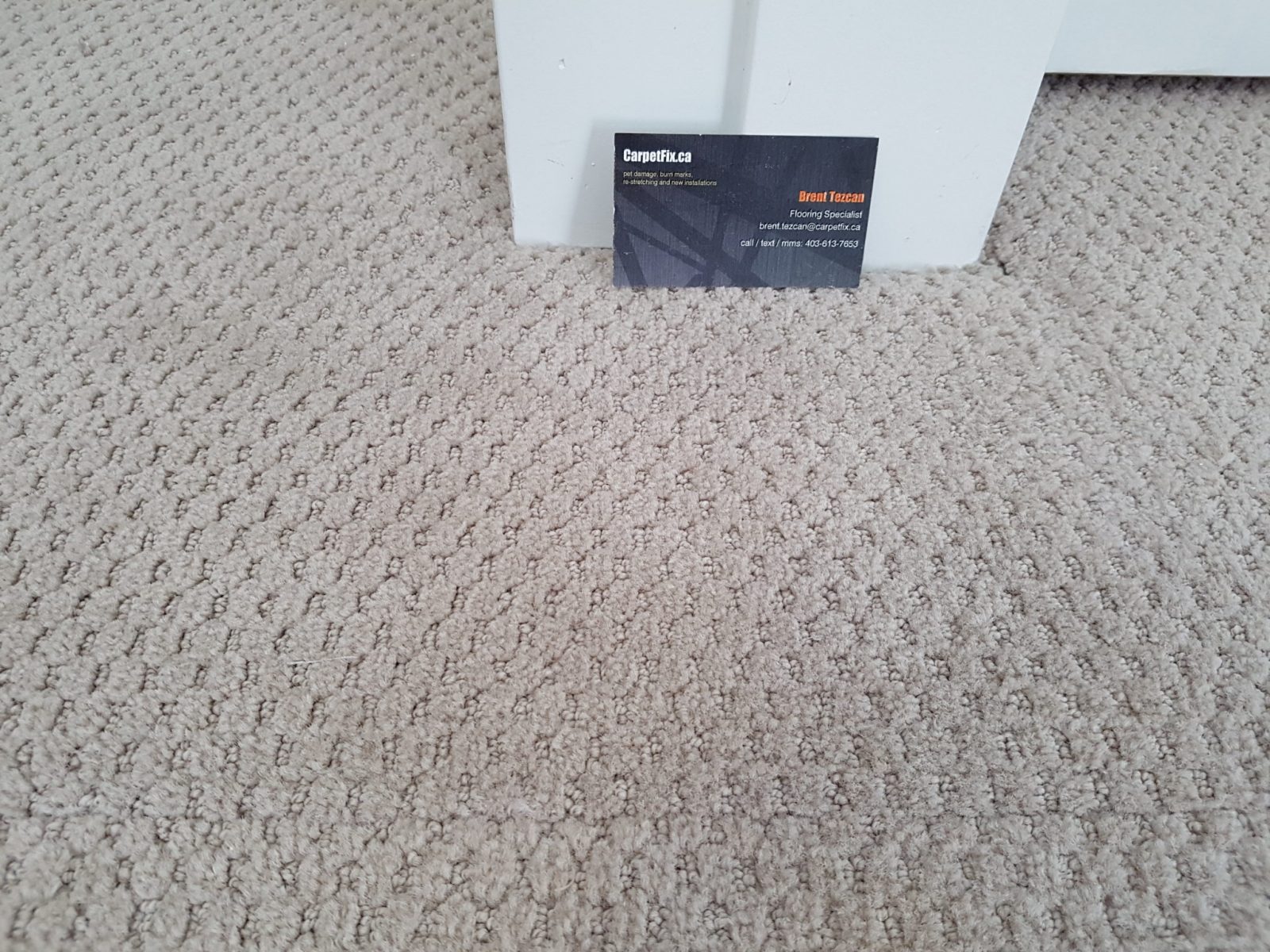 How do I remove several bleach marks from the carpet? – CarpetFix ...