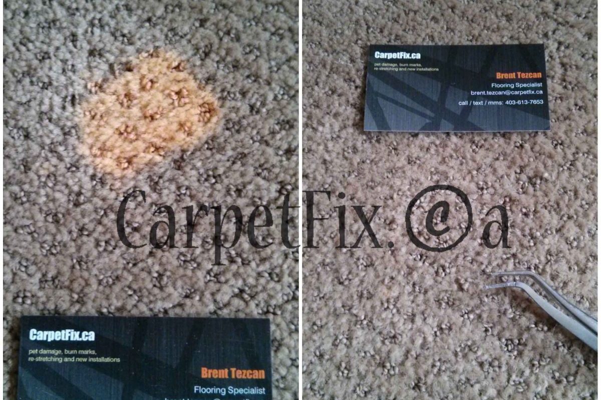 Bleach Stain Repair Examples - CarpetFix is #1 Best Carpet Repair ...