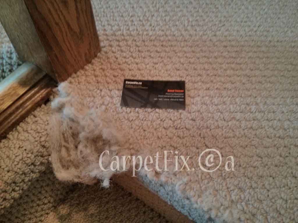 Stairs damaged by a cat and repairs are done by CarpetFix.ca ...