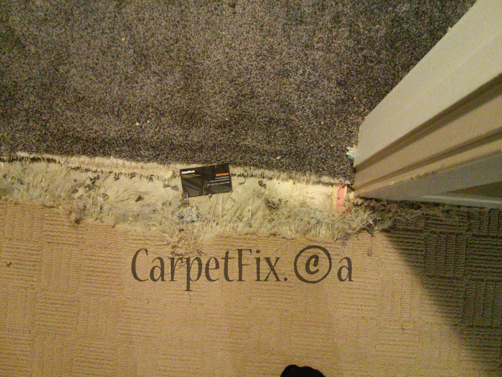 Carpet Fix is #1 Best Pet damage repair Service in Calgary