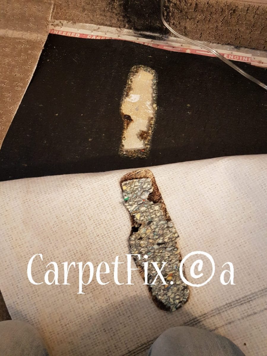 What is the Solution for a carpet burn or scorch – CarpetFix — Carpet ...