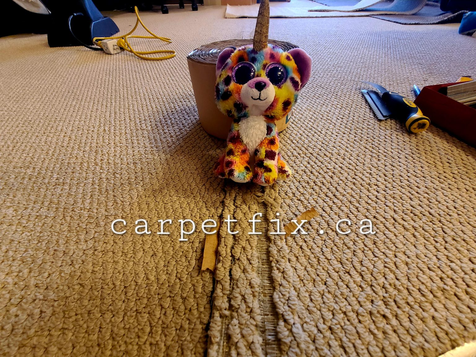 How to Repair Looped Carpet when it is Snagged by a dog – CarpetFix ...